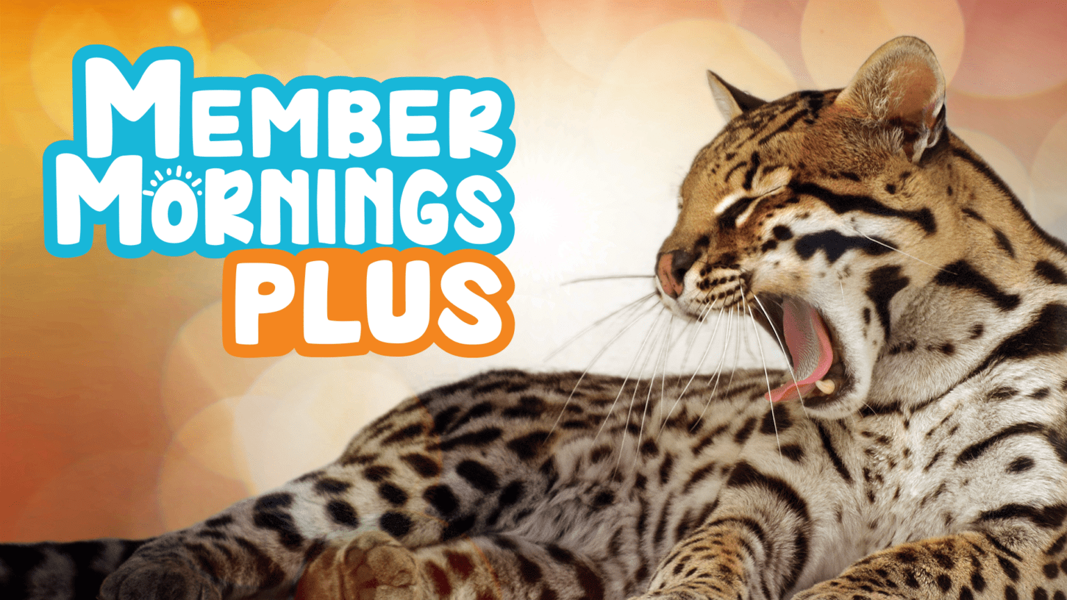 Member Mornings PLUS - Elmwood Park Zoo