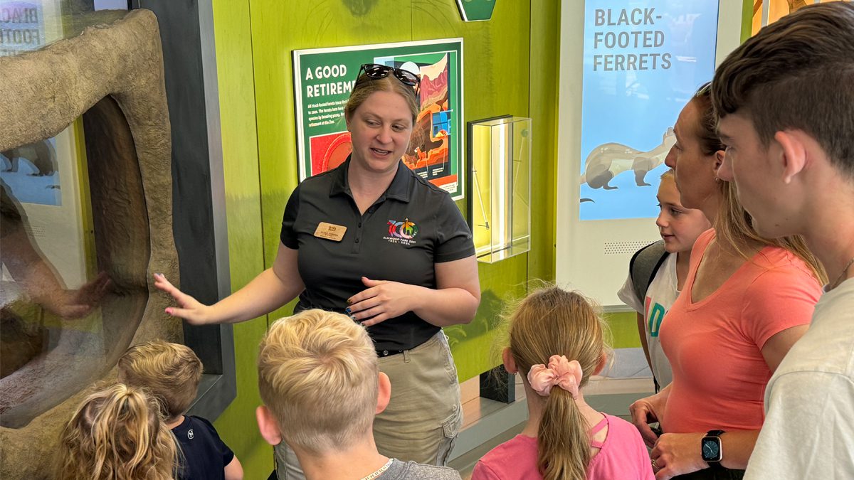 Events from January 27, 2024 – April 24, 2026 – Elmwood Park Zoo