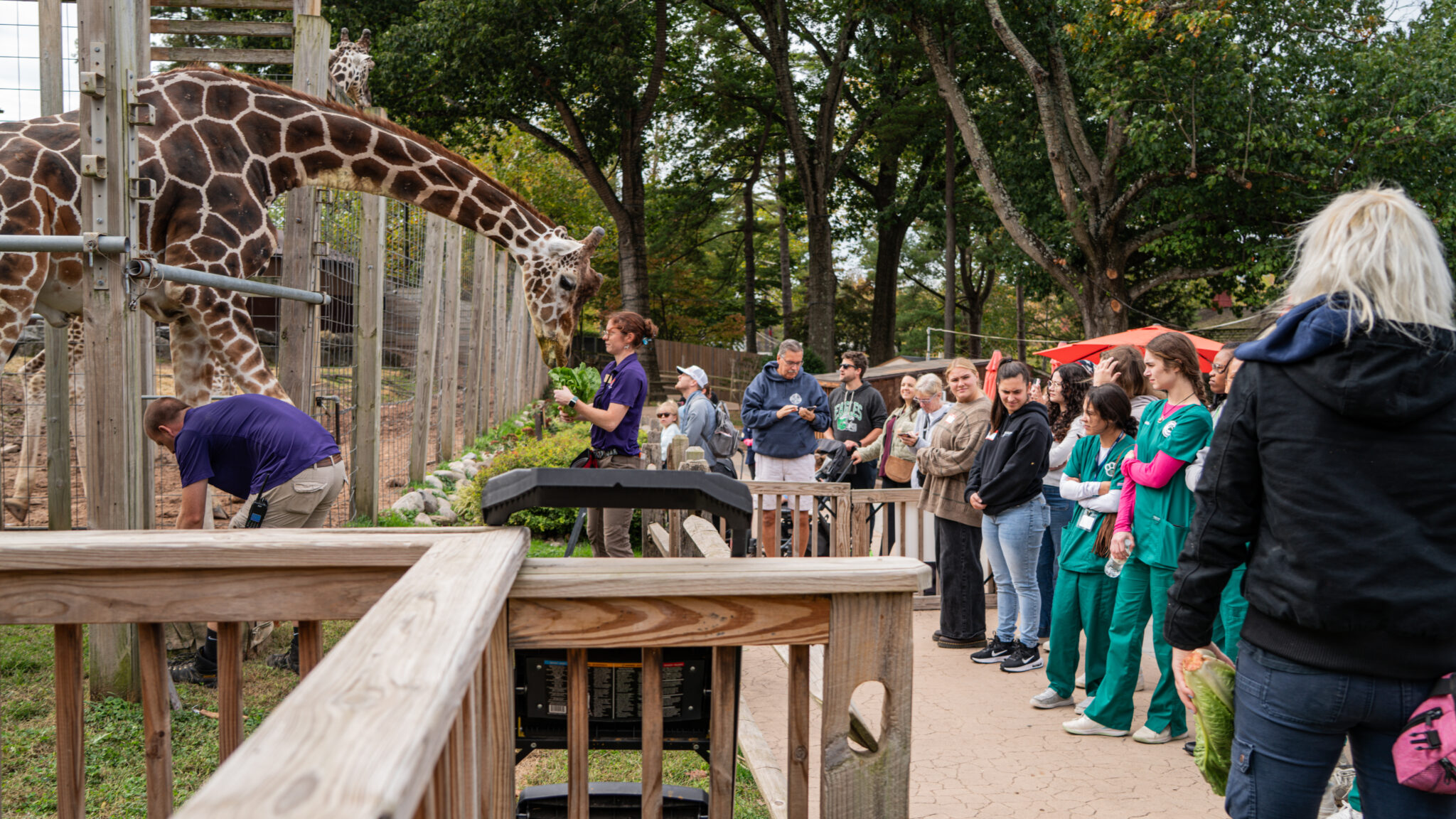 summit Archives - Elmwood Park Zoo