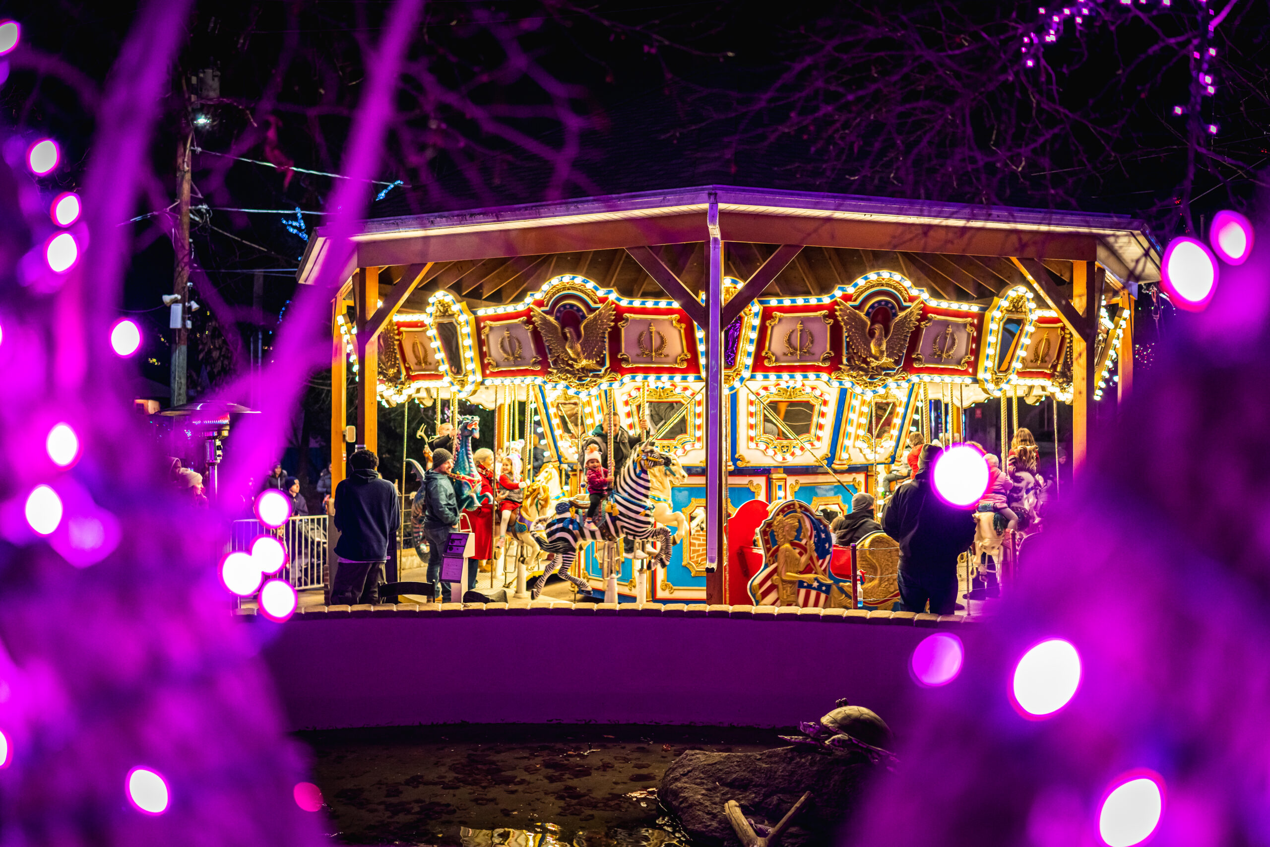 PhillyVoice: Wild Lights will transform Elmwood Park Zoo into a festive ...