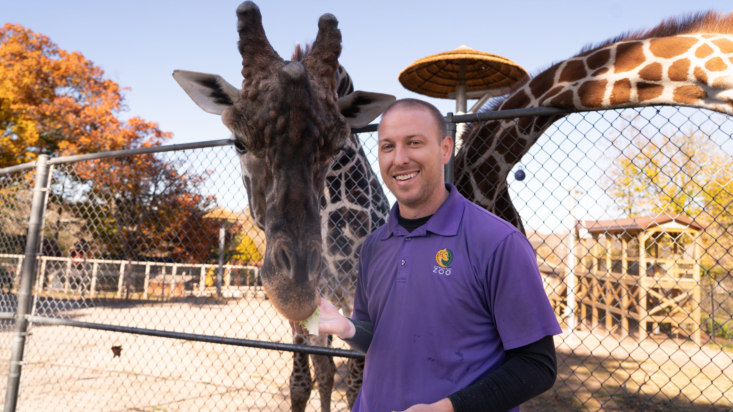 ZOO VIEWS: Mokolo's Next Adventure - Elmwood Park Zoo