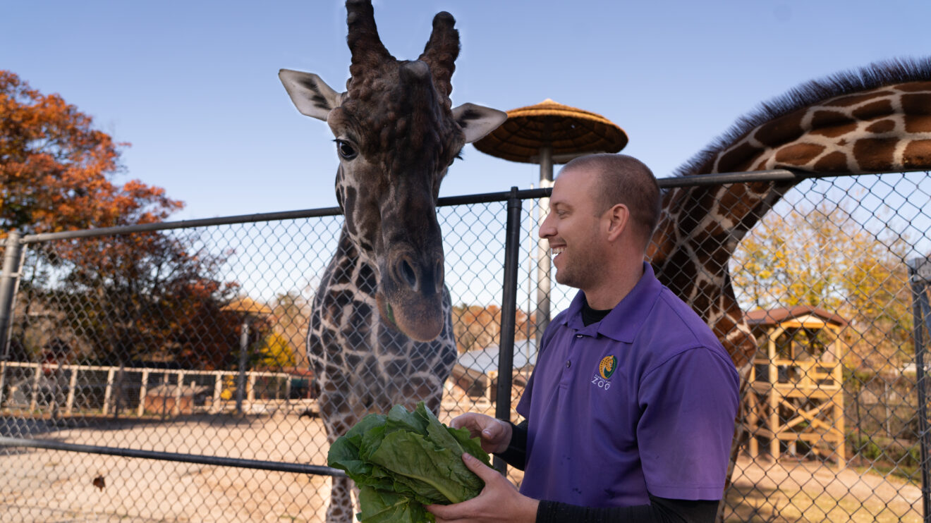 ZOO VIEWS: Mokolo’s Next Adventure | Elmwood Park Zoo